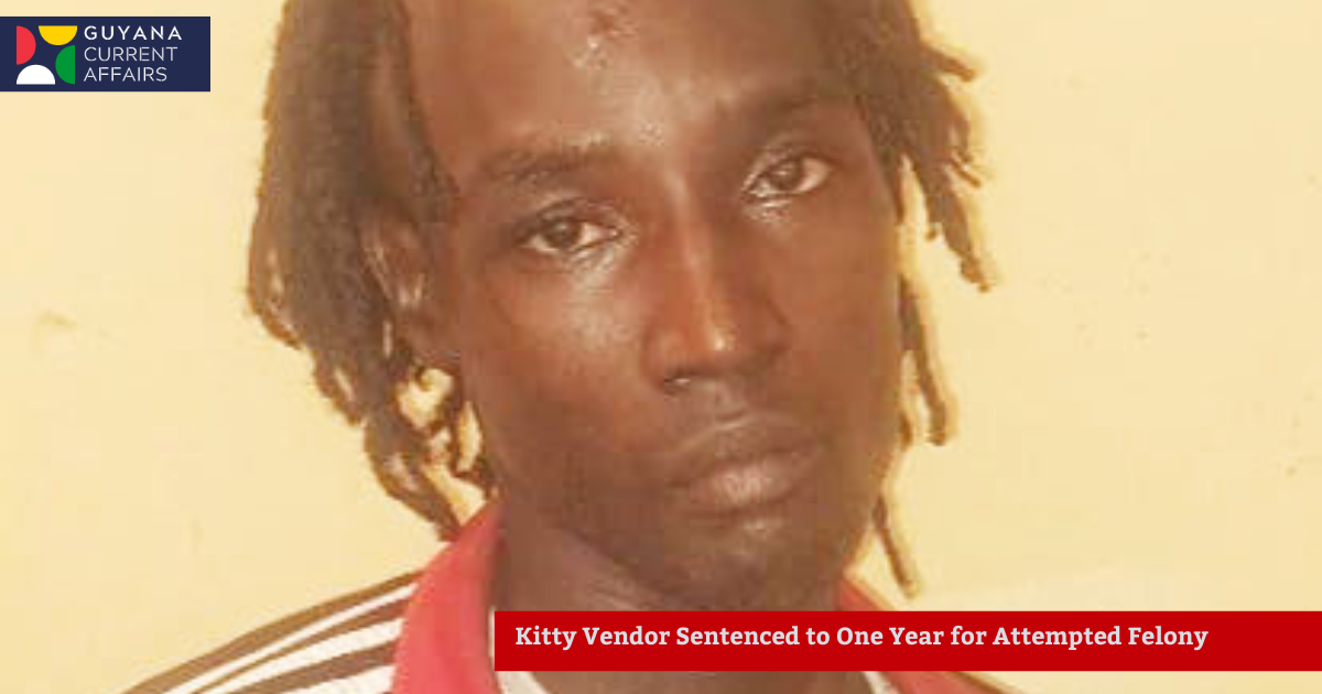 Kitty Vendor Gets Year in Prison for Felony Attempt